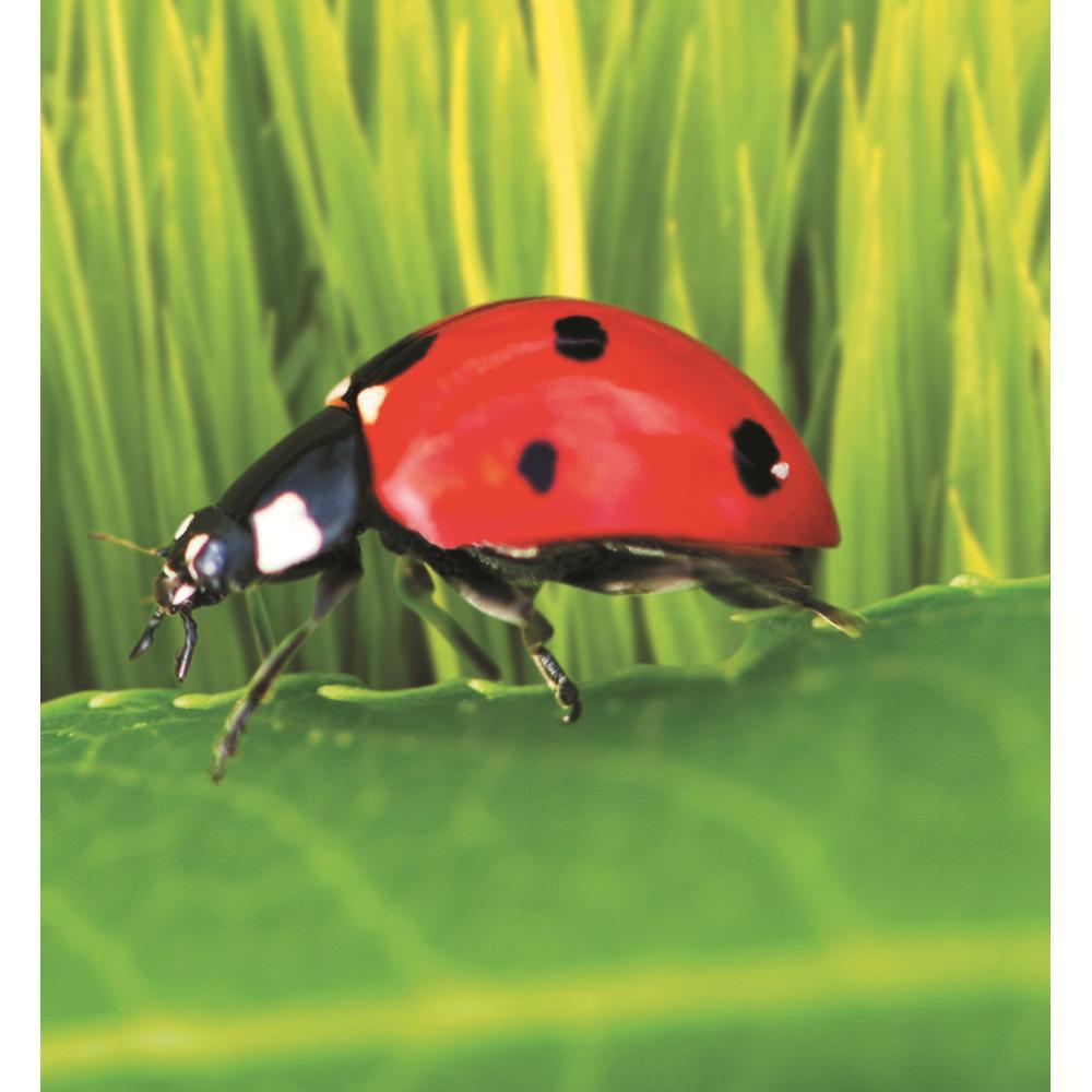 Raymond Education – Quality Early Childhood Products