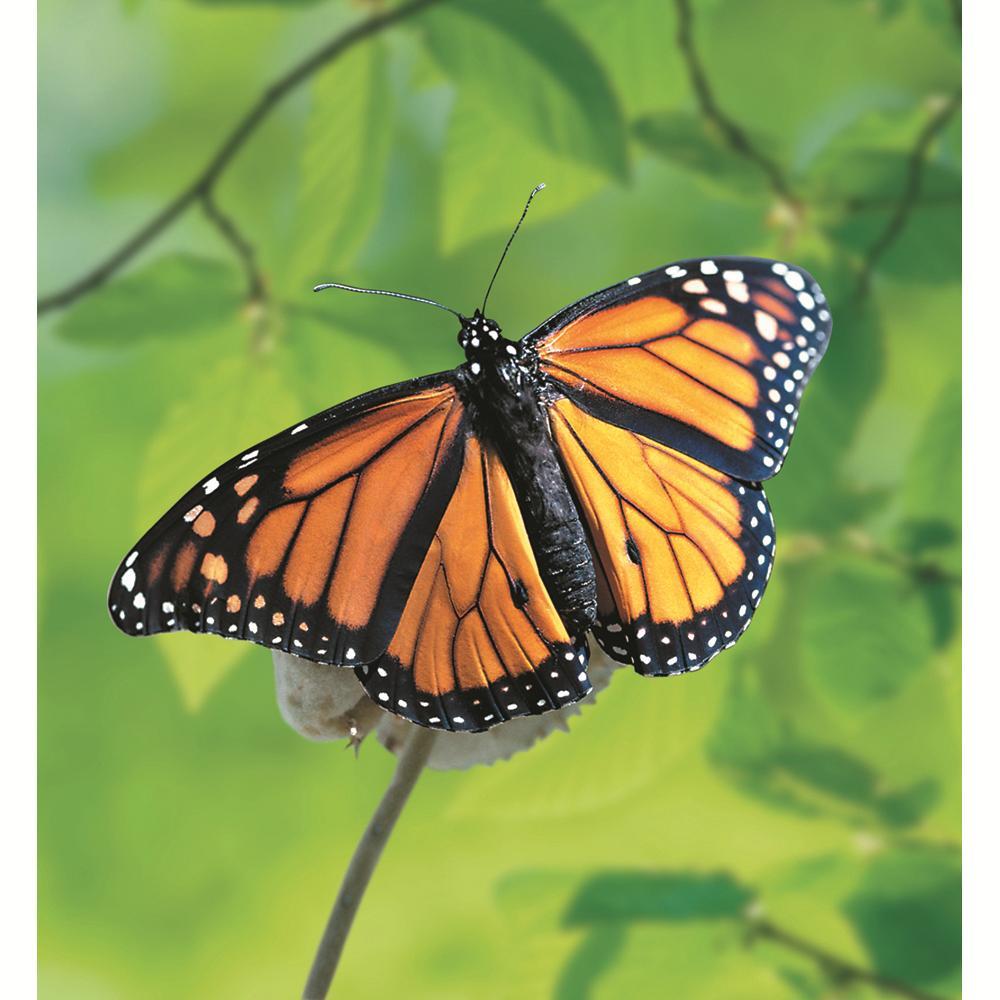 Raymond Education – Quality Early Childhood Products